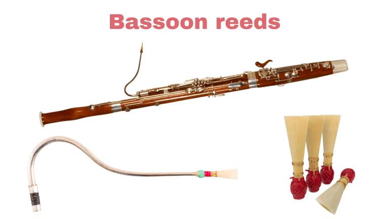 The Unique Sound, History, and Essential Role of the Bassoon in ...
