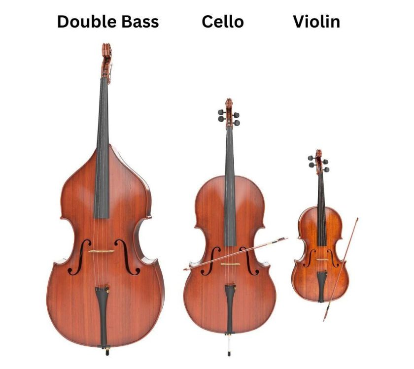 The Rich, Warm Sounds of the Cello | K&M Music School