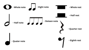 The Fundamentals of Music Theory: A Beginner's Guide | K&M Music School