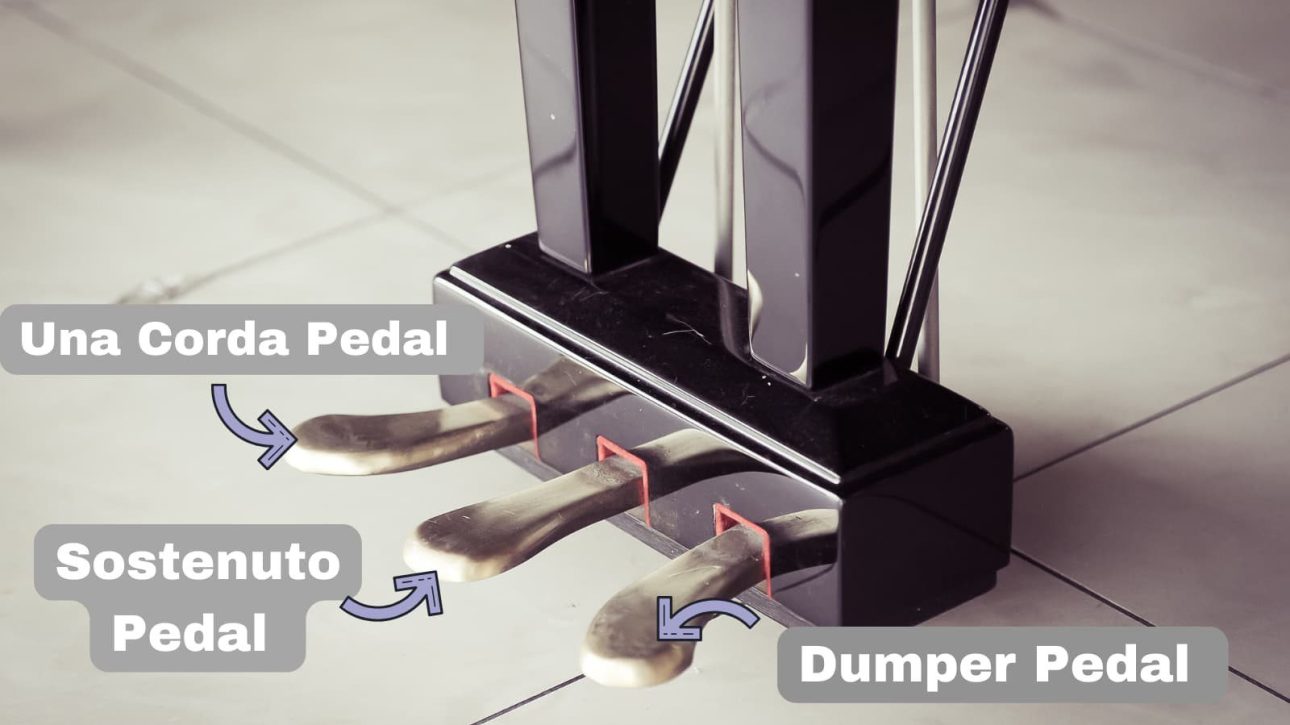 Learn When and How to Use the Damper, Sostenuto, and Una Corda Pedals ...