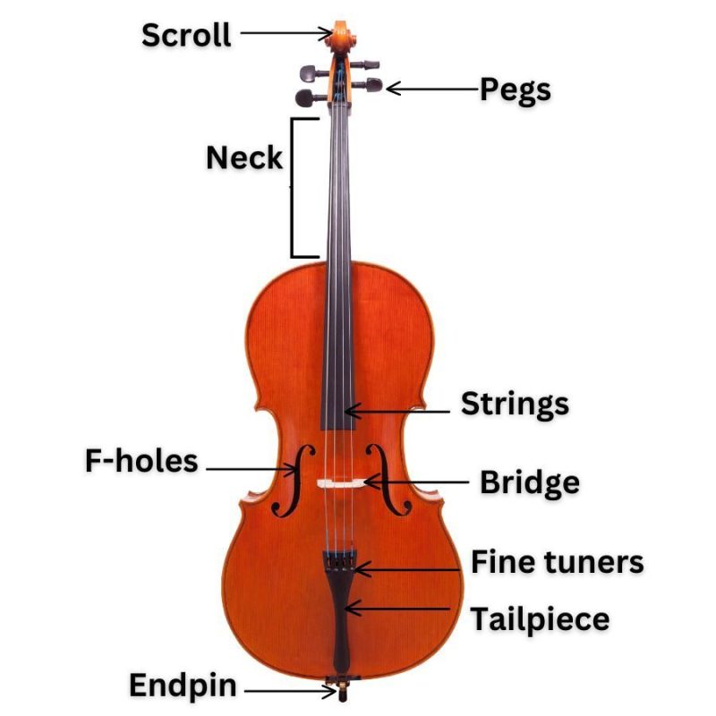 What is a Cello? | K&M Music School