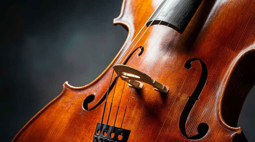 What is a Cello - Understanding Its History and Evolution | K&M Music ...