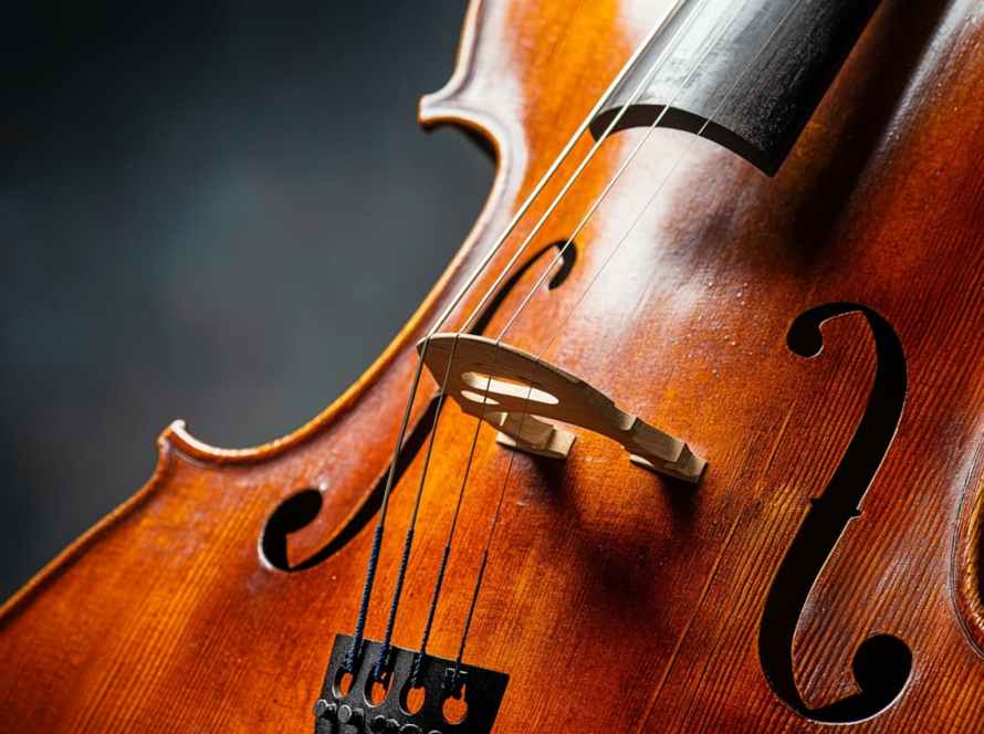 What Is a Cello and How It Differs from Other String Instruments | K&M ...