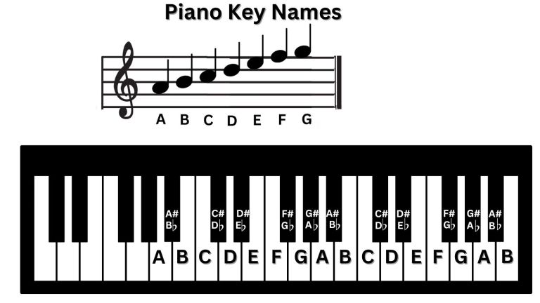 Piano Key Names Explained Quick Tips to Remember Each Note | K&M Music ...