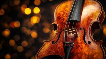 Violin Parts A Simple Guide to the Violin's Anatomy | K&M Music School