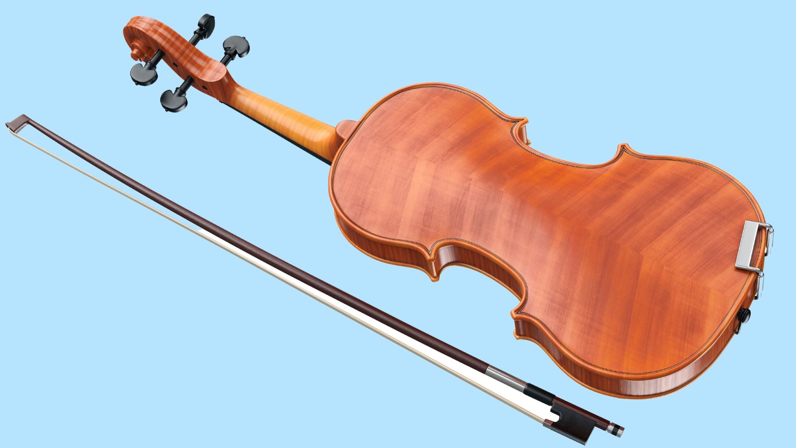 Violin Parts A Simple Guide to the Violin's Anatomy | K&M Music School