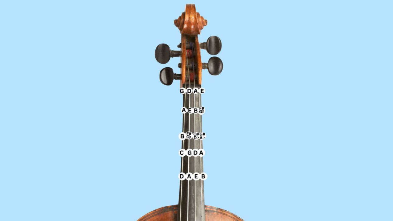 Violin Parts A Simple Guide to the Violin's Anatomy | K&M Music School