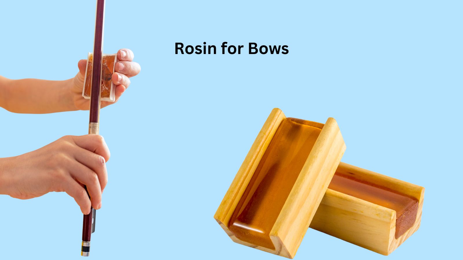 Violin Parts A Simple Guide to the Violin's Anatomy | K&M Music School