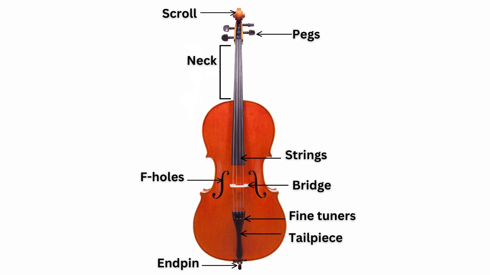 What Is a Cello and How It Differs from Other String Instruments | K&M ...