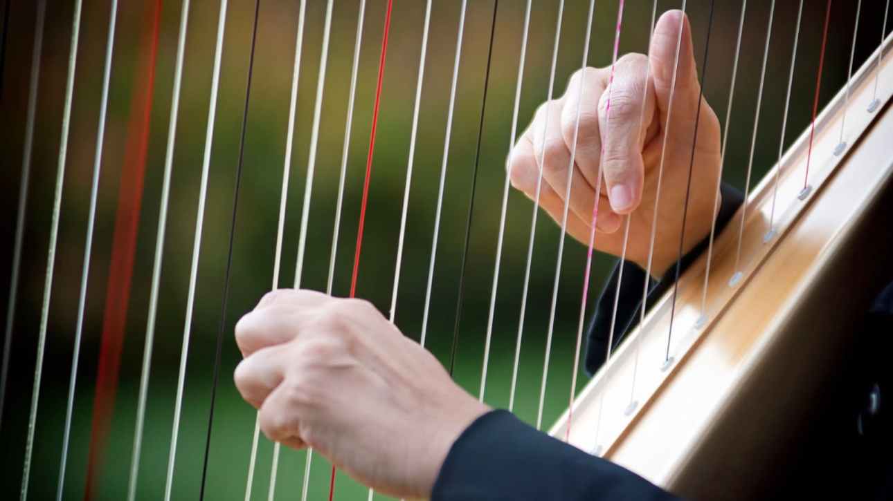 How to Play the Harp Simple Steps to Get Started | K&M Music School