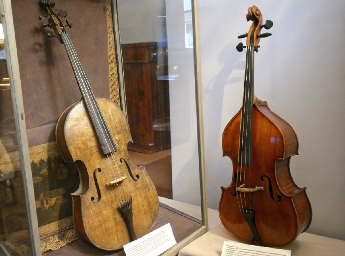 What Is a Cello and How It Differs from Other String Instruments | K&M ...