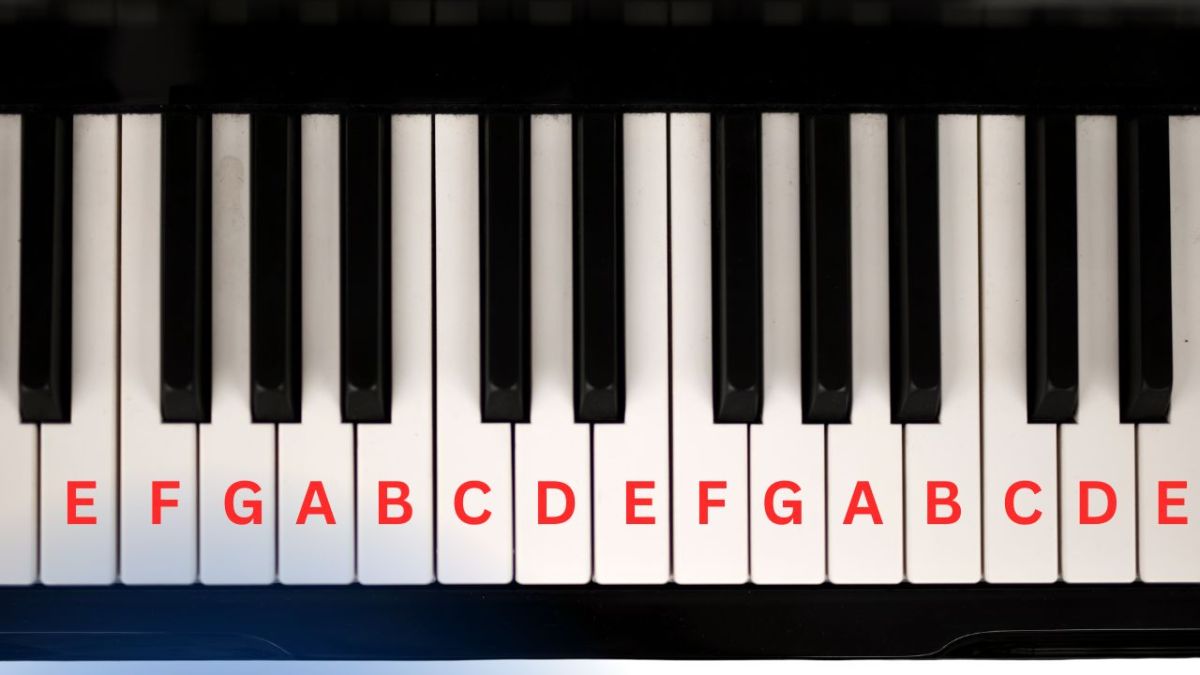 How to Play Piano Simple Steps for Absolute Beginners | K&M Music School